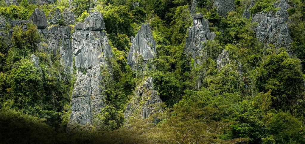 Batutumonga | Visit Toraja