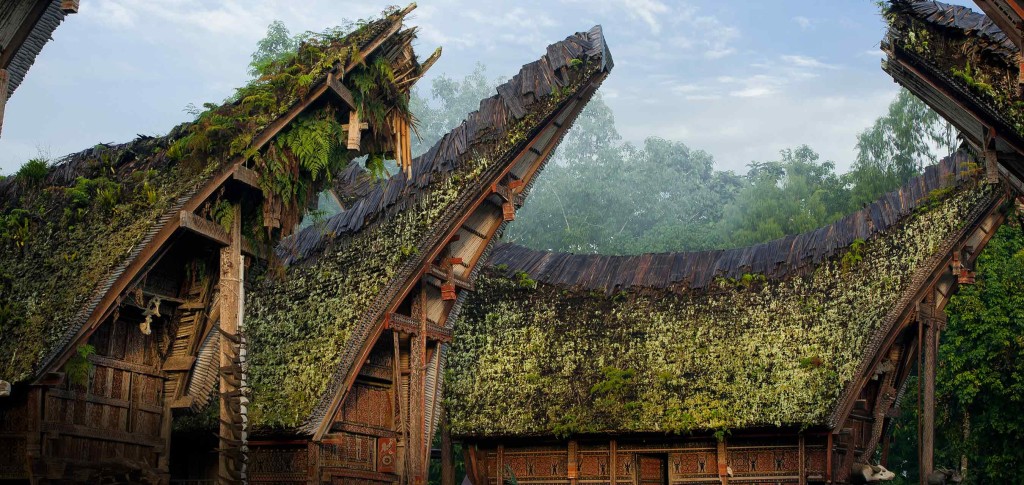 Traditional House | Visit Toraja